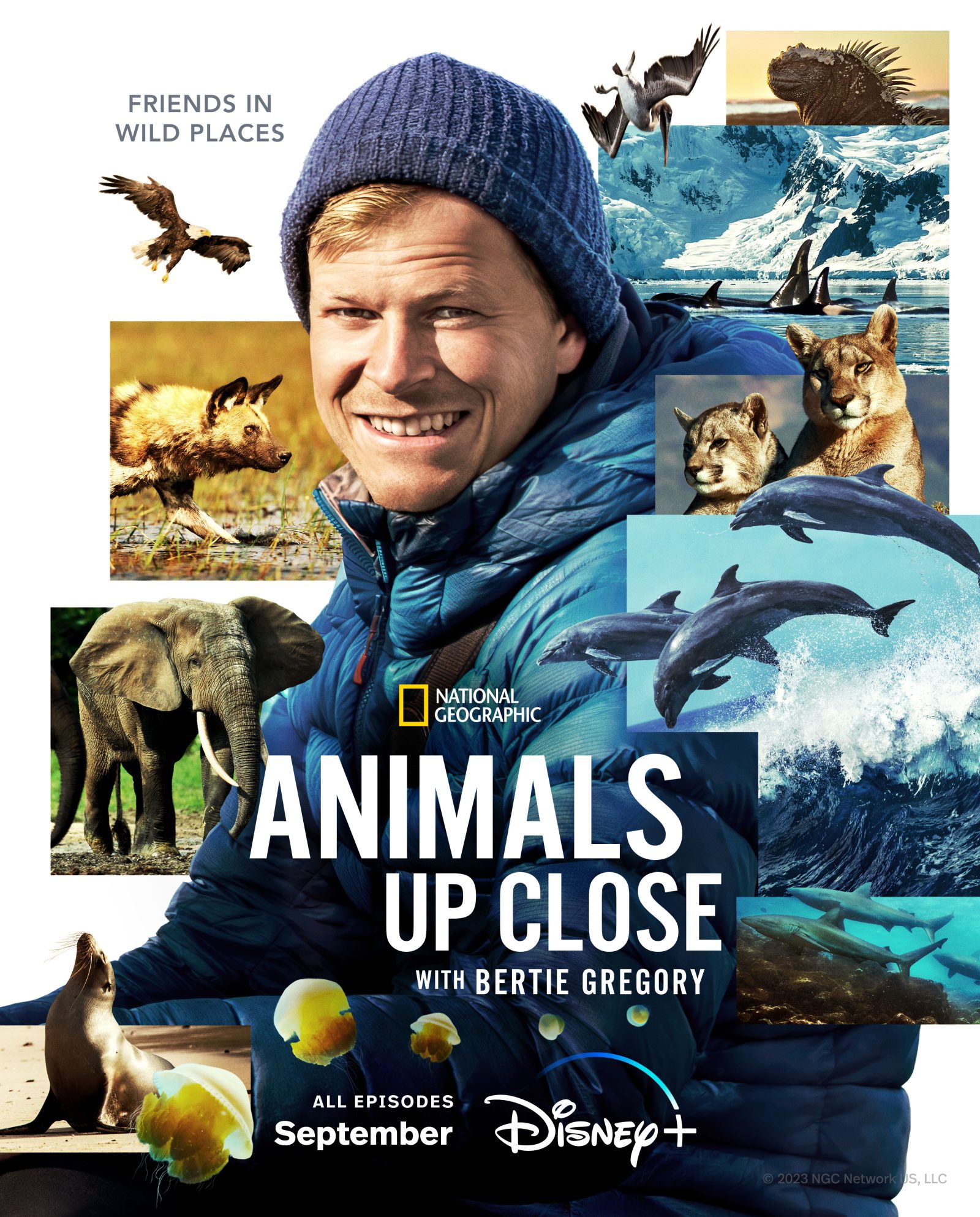 Animals up Close with Bertie Gregory - f-stop Gear